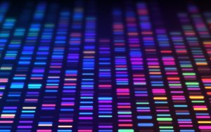 Our Partners - AutoRek